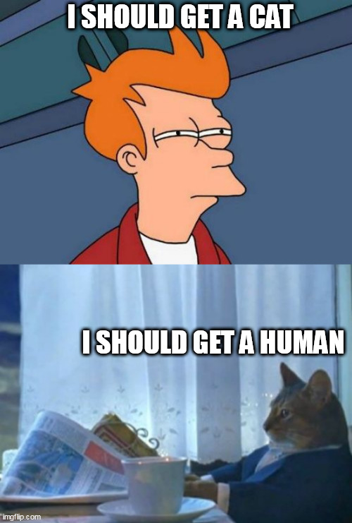 Image tagged in memes,futurama fry,i should buy a boat cat - Imgflip