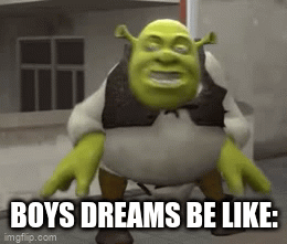 Boy dreams - Imgflip