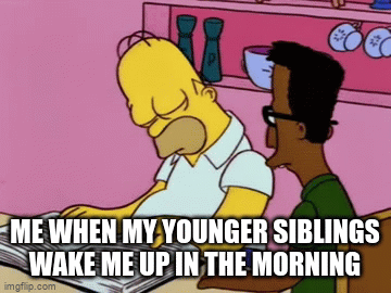 Me And My Siblings - Imgflip