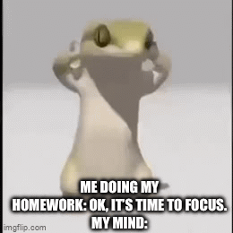LET ME DO MY HOMEWORK - Imgflip