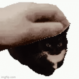 maxwell my beloved (: - Imgflip