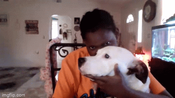 half a face reveal with my dog - Imgflip