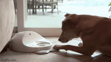 The gaming console for a dog - Imgflip