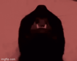 I’m going insane - Imgflip