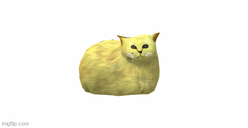 casey the cat - Imgflip