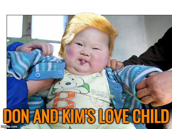 Trump's solution - Imgflip