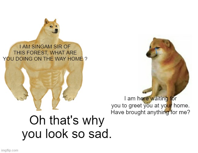 Buff Doge vs. Cheems Meme - Imgflip