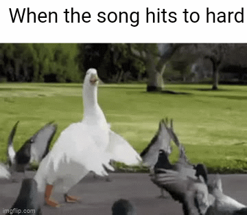 Mmf mmmf du dudu mmmm - Imgflip