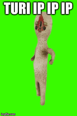 turi ip - Imgflip