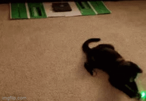Cat and green dot - Imgflip