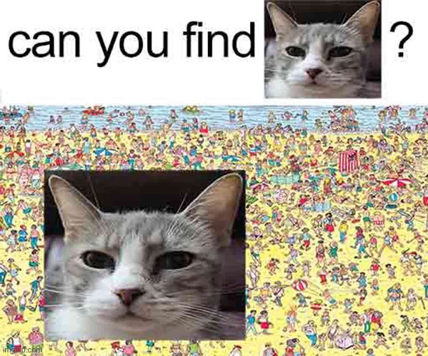 Omg he’s so hard to find!!1!1 - Imgflip