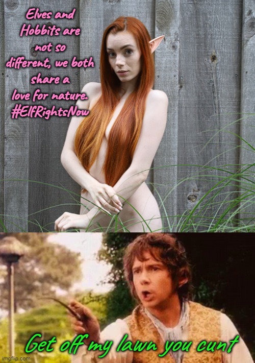 Forget the gnome invasion, now we're being attacked by elves! - Imgflip