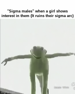 Imgflip