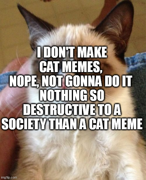 Grumpy Cat Meme - Imgflip