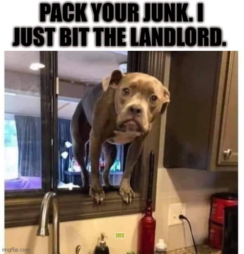 Darn It Imgflip Darn It Imgflip