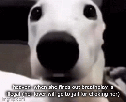 i hate that i know that term - Imgflip