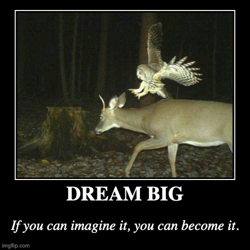 DREAM BIG - Imgflip