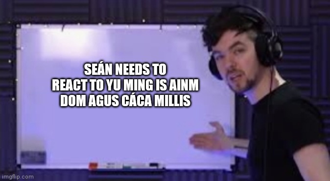 Every Irish person who has see them will agree - Imgflip