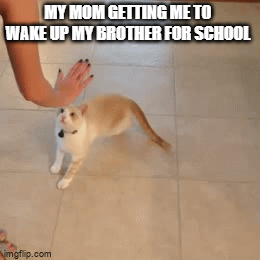 Family works together. - Imgflip