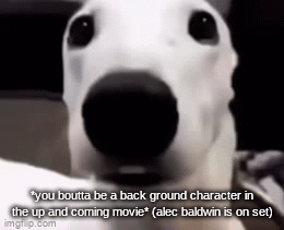 Shivering Dog - Imgflip