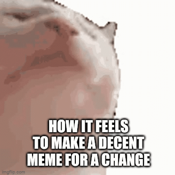 Satisfied Cat - Imgflip