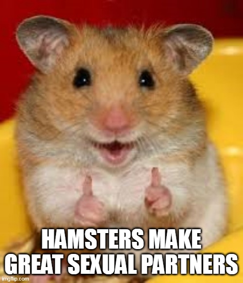 Thumbs up hamster - Imgflip