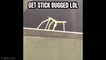 Get Stick Bugged LOL - Imgflip