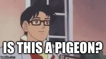 Is This A Pigeon? - Imgflip