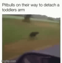 Animated GIF - Imgflip