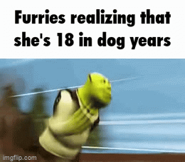 Animated GIF - Imgflip