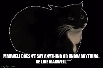 Maxwell: - Imgflip