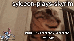 goofy ahh cat lmfao - Imgflip