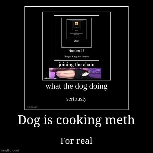 Dog is cooking meth - Imgflip