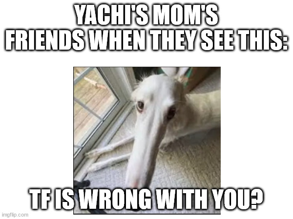 Yachi stealing license plates… I Gaslighted her to getting her moms ...