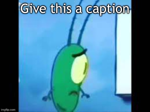 Caption this - Imgflip