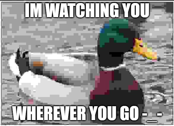 Actual Advice Mallard Meme - Imgflip
