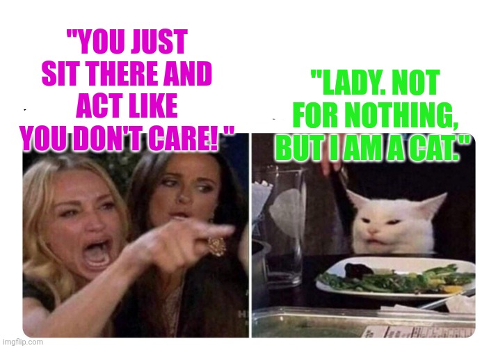 I don't care. - Imgflip