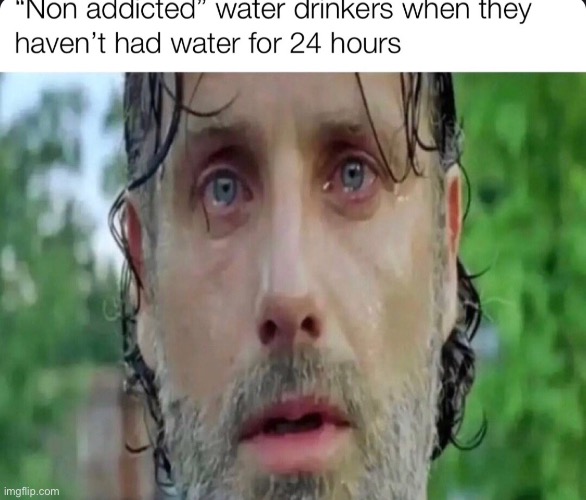 Like fr fr ong - Imgflip