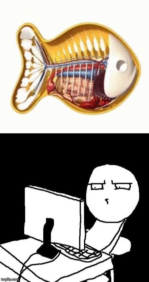 goldfish skeleton - Imgflip