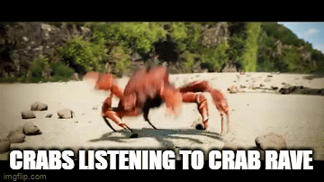 Crab Rave - Imgflip