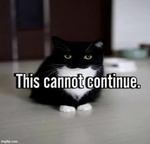 This cannot continue. - Imgflip