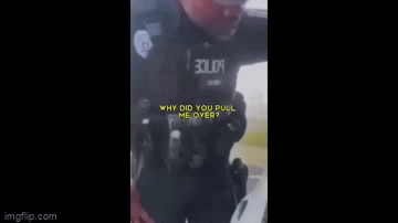 Animated GIF - Imgflip