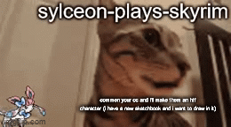 goofy ahh cat lmfao - Imgflip