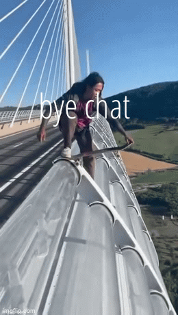 Bye chat #1 - Imgflip