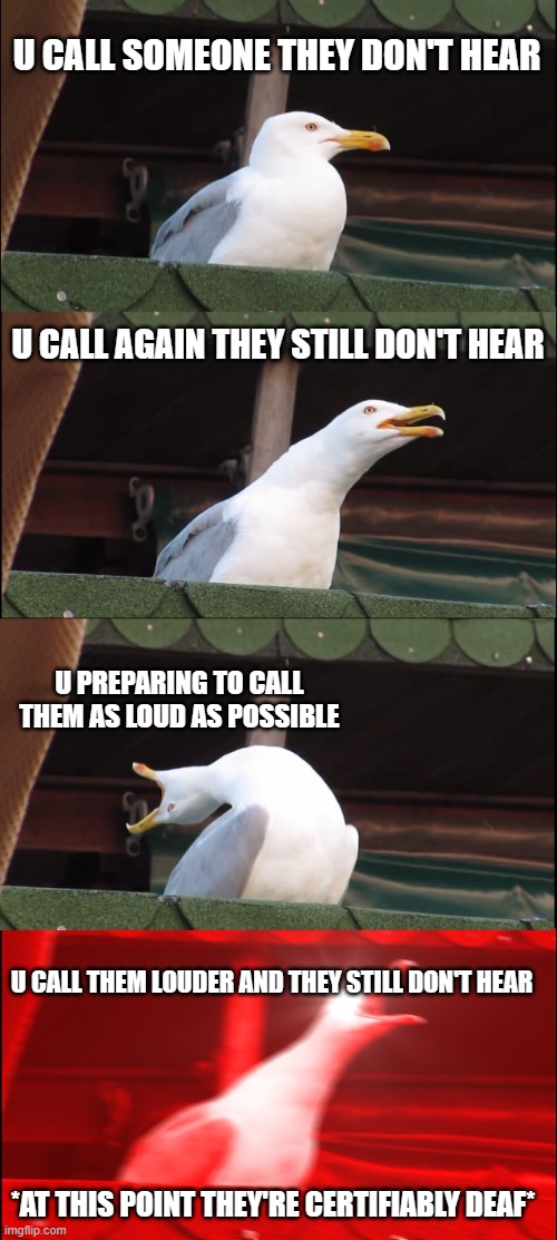 Inhaling Seagull Meme - Imgflip