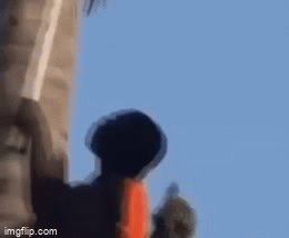 Coconut hit - Imgflip