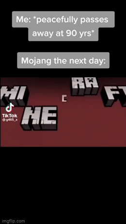 The update - Imgflip