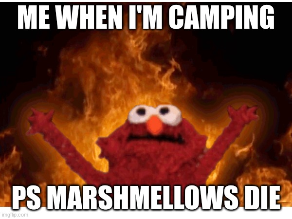 me when im camping - Imgflip