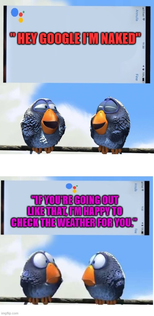 Image tagged in hey google - Imgflip