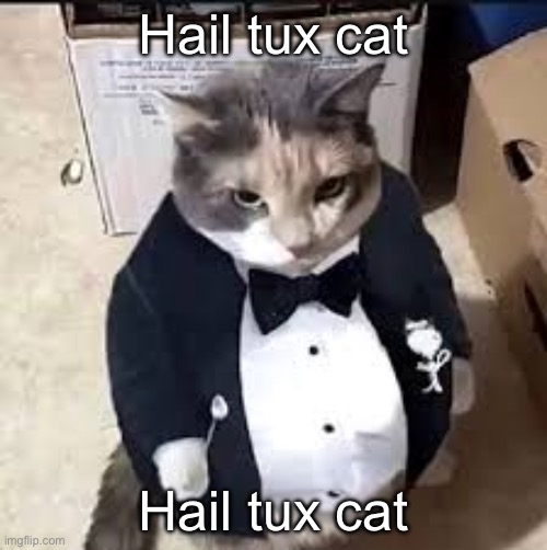 Hail tux cat - Imgflip